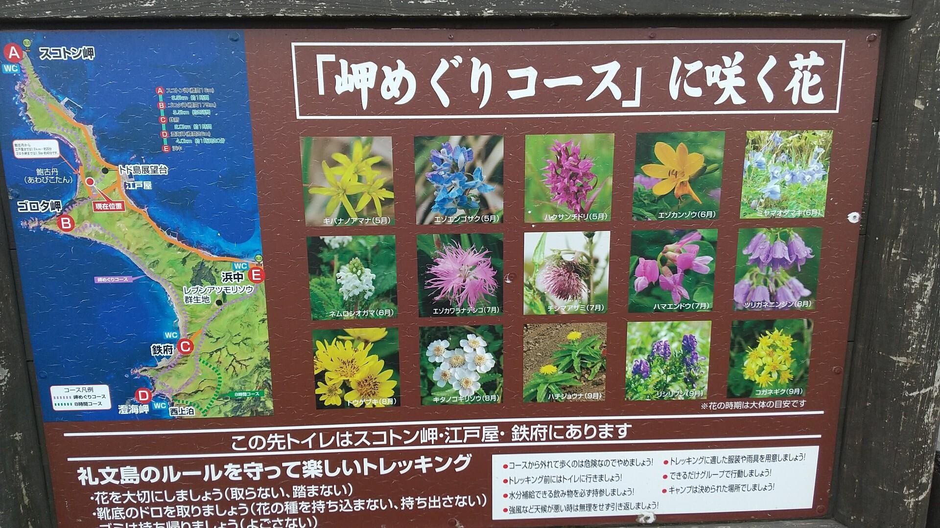 ゴロタ山(岬めぐりコーストレッキング) / かいこさんの礼文島の活動データ | YAMAP / ヤマップ