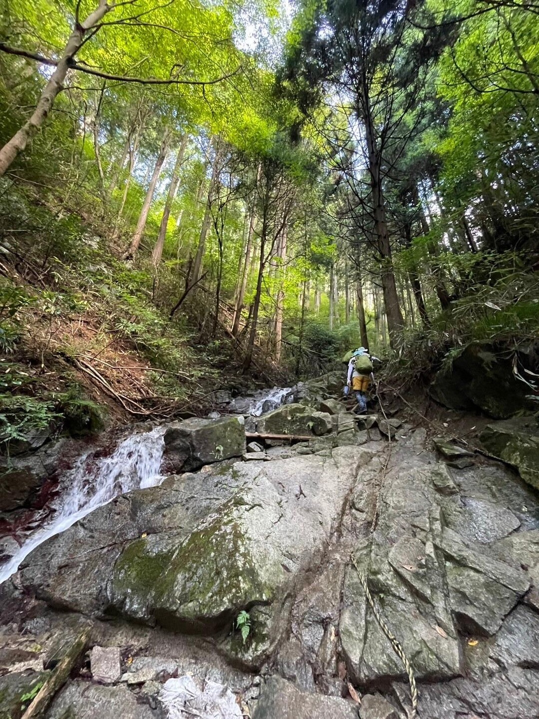 金剛山 / marikoさんの金剛山・二上山・大和葛城山の活動データ | YAMAP / ヤマップ