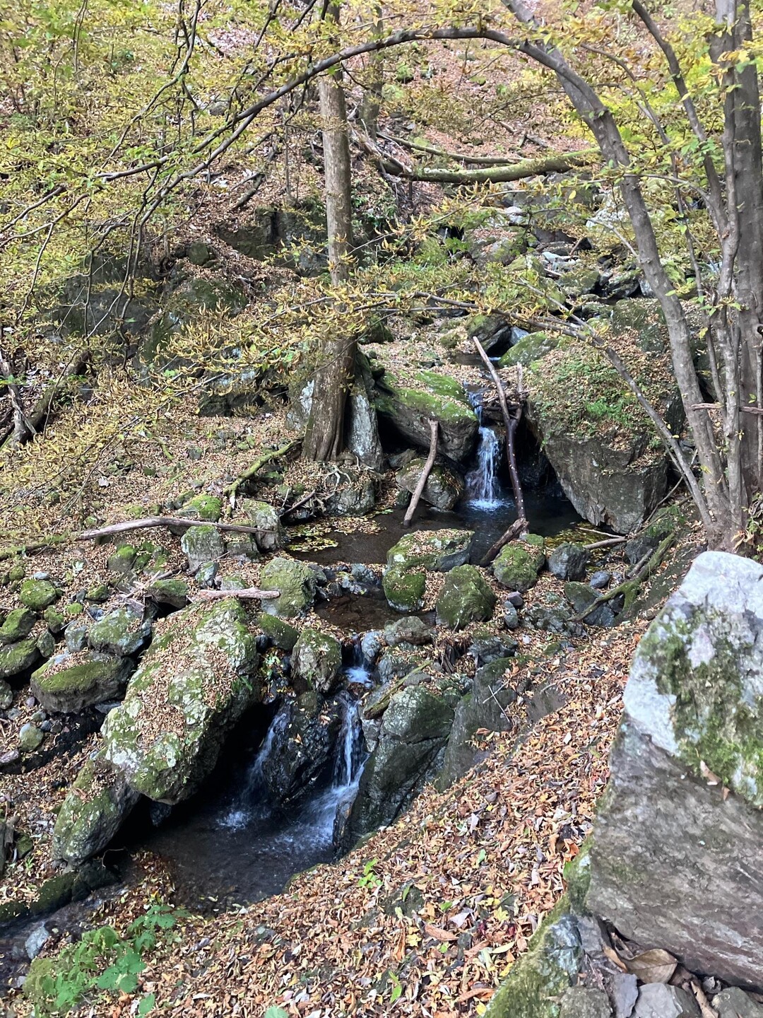 gasさんの投稿したフィールドメモ | YAMAP / ヤマップ