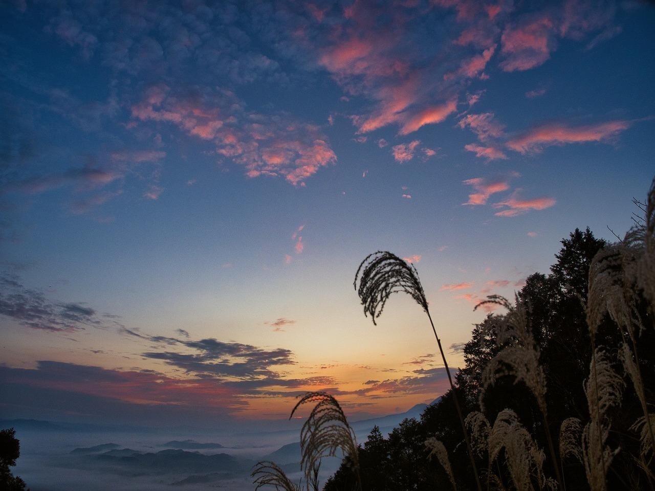 裏山魚野・・数日前 寝坊して山頂まで... / sin358さんのモーメント | YAMAP / ヤマップ