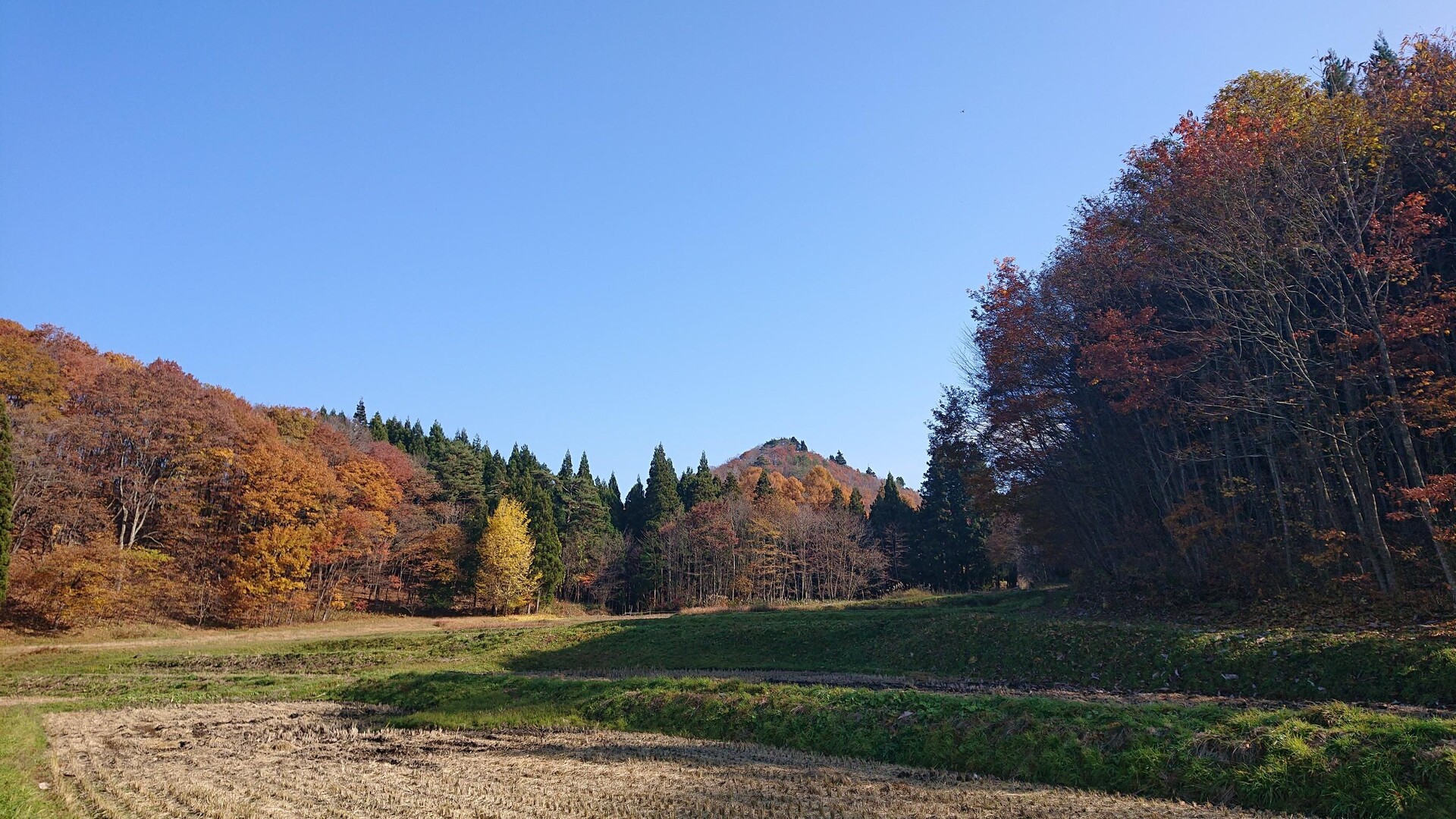 鷹巣山 / tomyさんの向山・諏訪沢森・鷹巣山の活動データ | YAMAP / ヤマップ