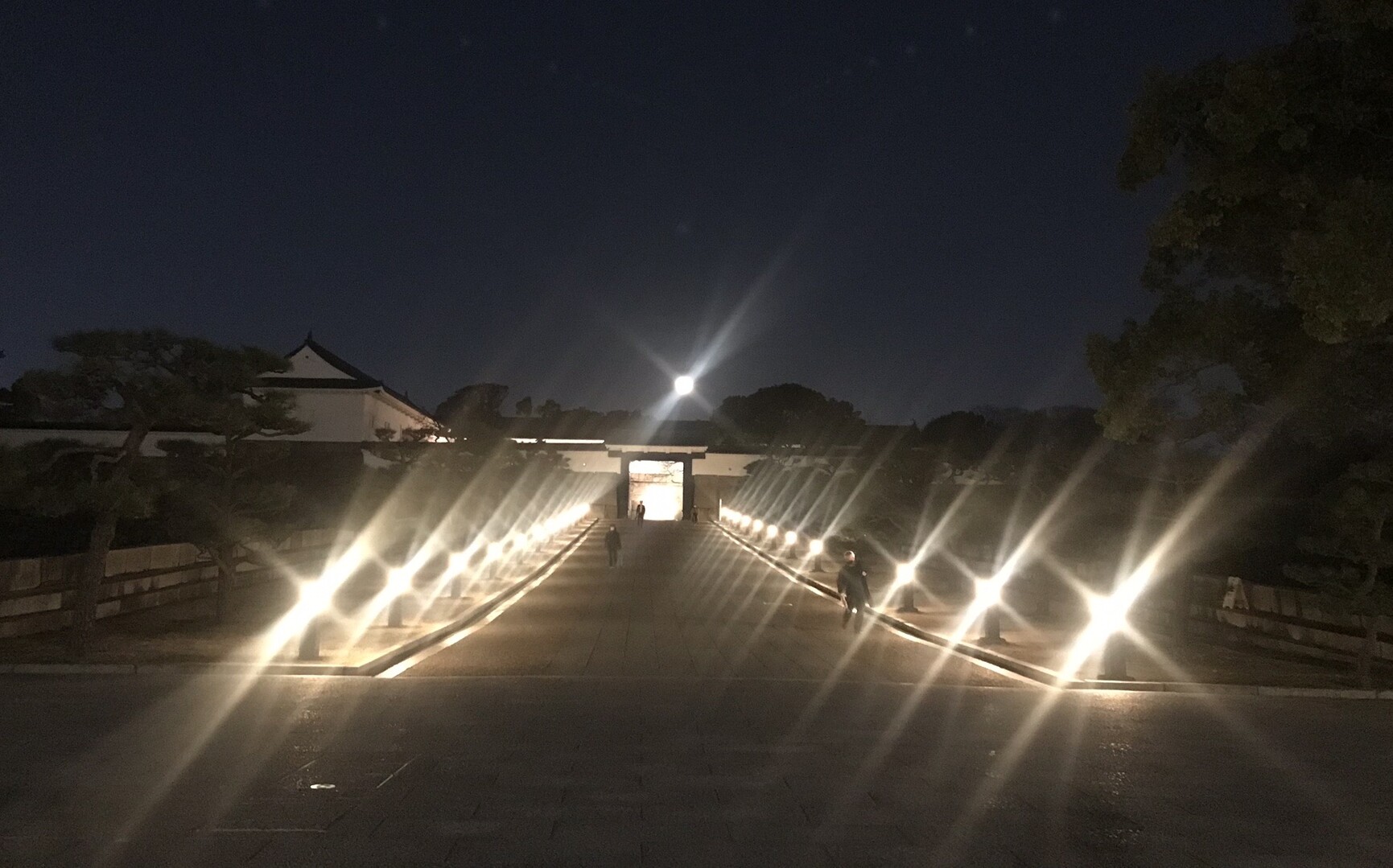 大阪市-2022-02-22 / cobaさんの大阪市の活動日記 | YAMAP / ヤマップ