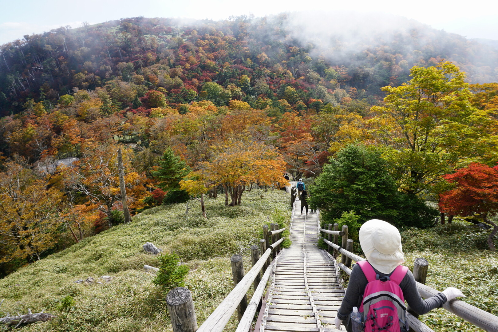 大台ヶ原山（日出ヶ岳）・大蛇グラ / sikaさんさんの大台ヶ原山・日出ヶ岳・大杉谷の活動データ | YAMAP / ヤマップ