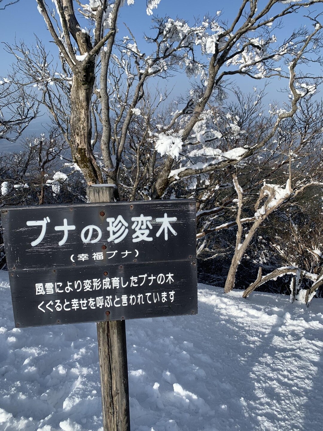 綿向山・竜王山 / saさんの綿向山の活動データ | YAMAP / ヤマップ
