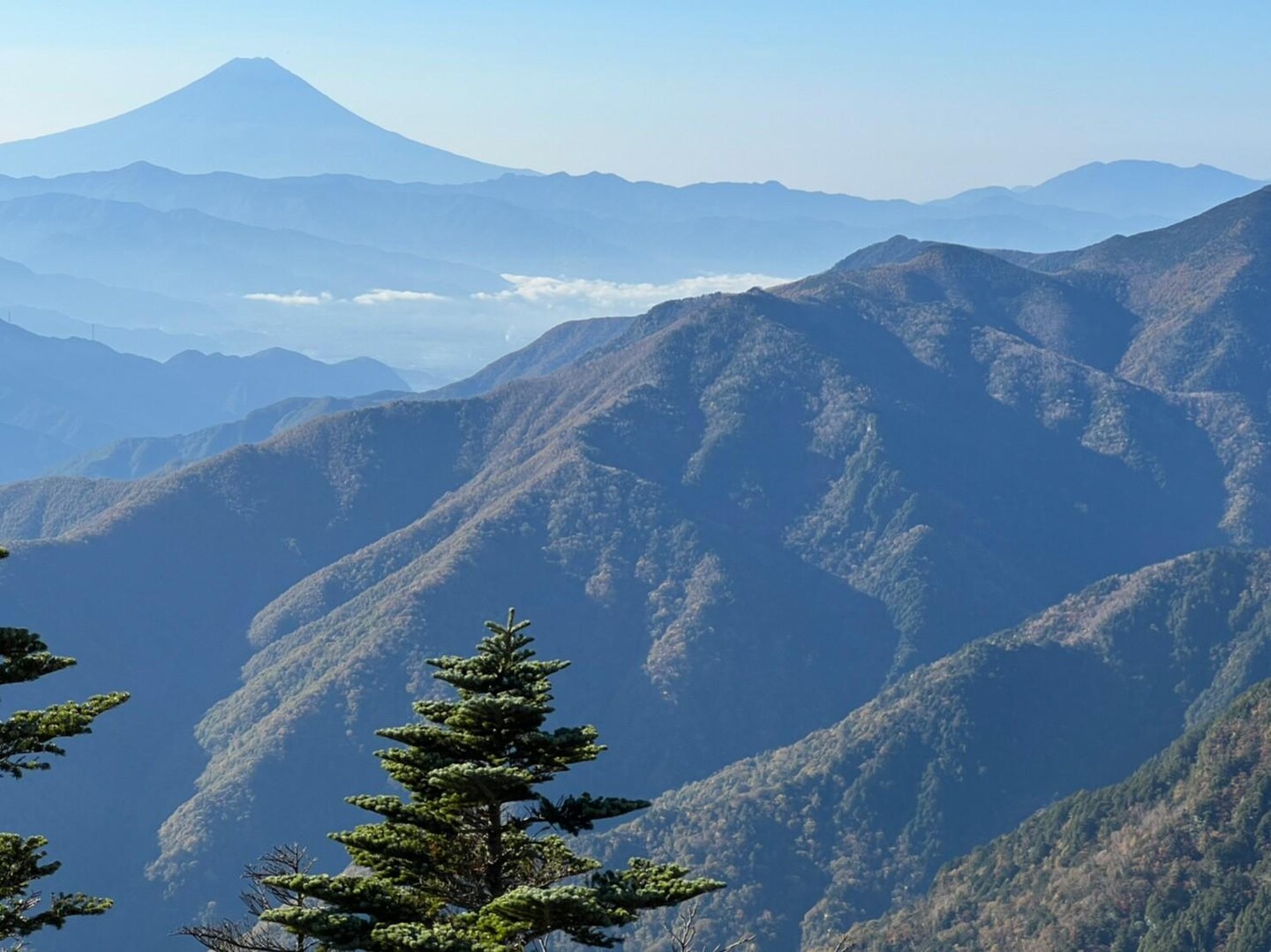 甲武信ヶ岳テント泊⛺2日目 / 一路ISSAさんの甲武信ヶ岳の活動日記 | YAMAP / ヤマップ