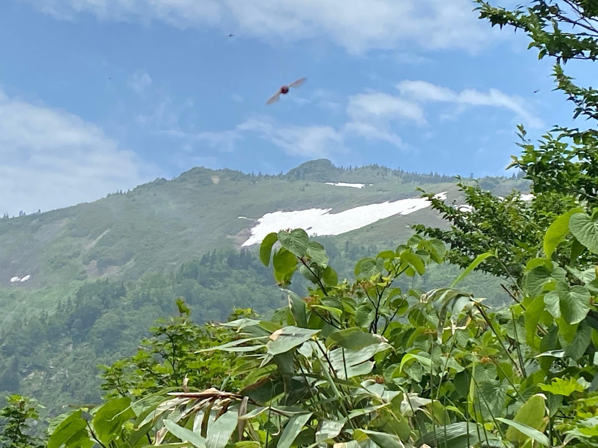 三ッ岩岳 / ryuさんの三岩岳の活動データ | YAMAP / ヤマップ