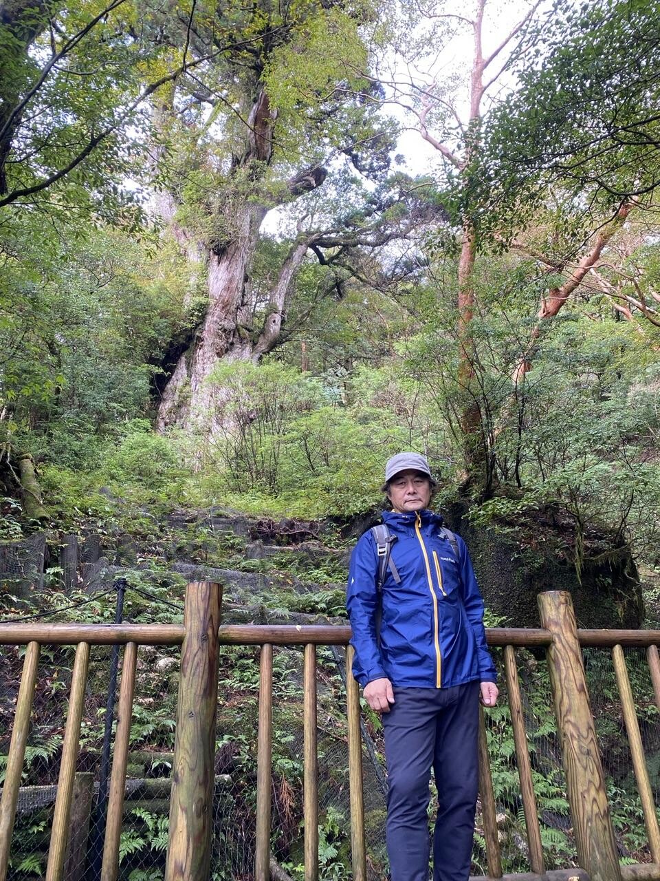 TOMOのページ | YAMAP / ヤマップ