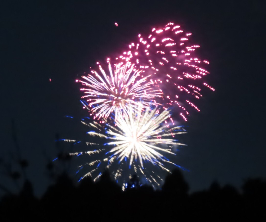 低山から、久しぶりの花火見物👀 カメラ... / 繁Gさんのモーメント | YAMAP / ヤマップ