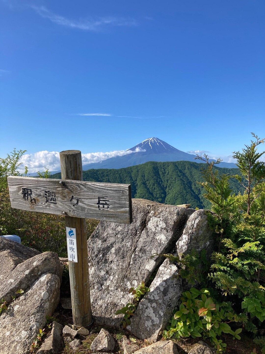釈迦ヶ岳 / explorerさんの釈迦ヶ岳・大栃山の活動データ | YAMAP / ヤマップ
