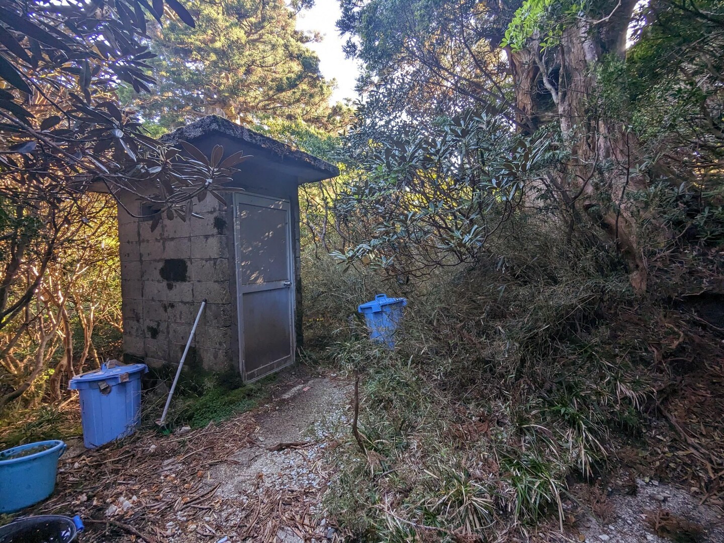 tkhsさんの投稿したフィールドメモ | YAMAP / ヤマップ