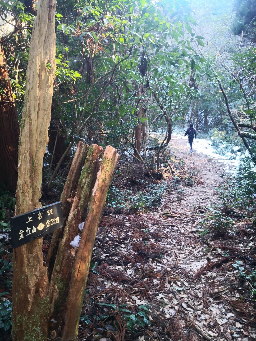 超絶快晴☀️ / ya-@katuさんの金立山・金敷城山の活動データ | YAMAP / ヤマップ