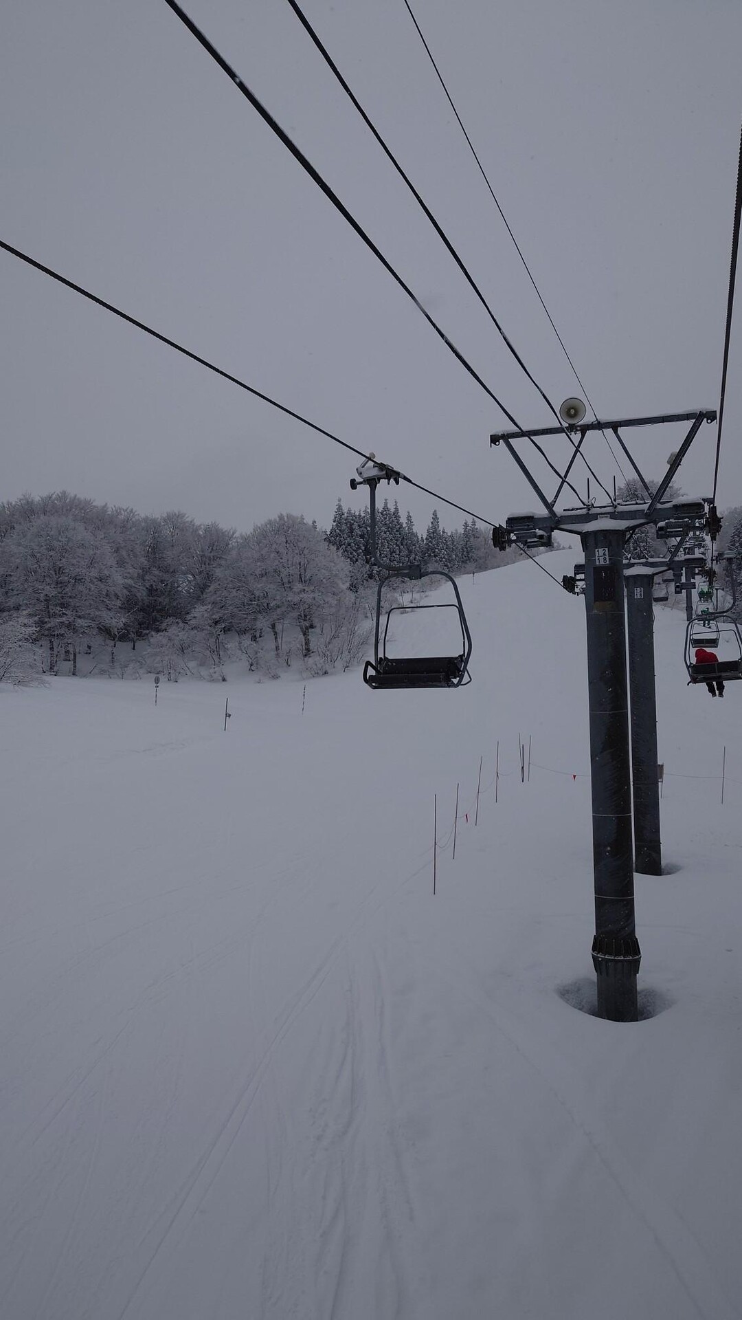 スノーボード日記 2/23ニューグリーン... / ko1さんのモーメント | YAMAP / ヤマップ