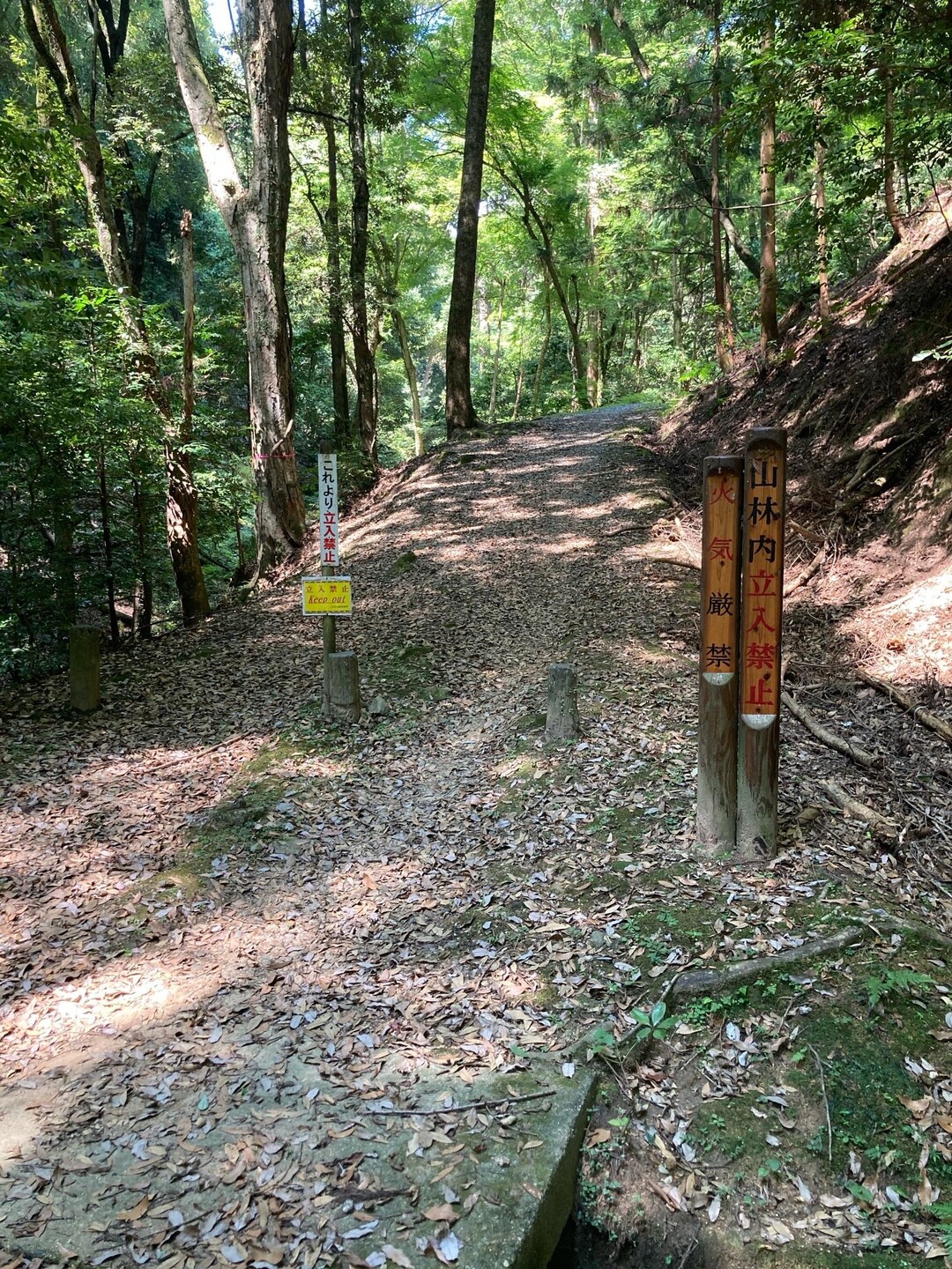 Mariさんの投稿したフィールドメモ | YAMAP / ヤマップ