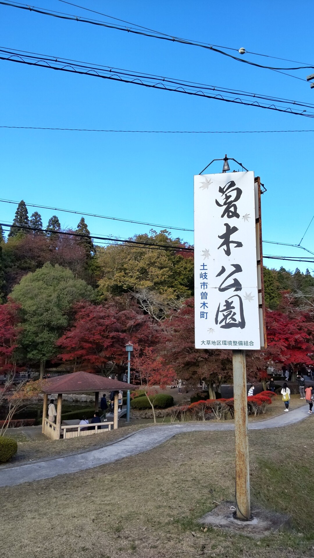 曽木公園の紅葉🍁を見に🙂 / 桜島さんのモーメント | YAMAP / ヤマップ