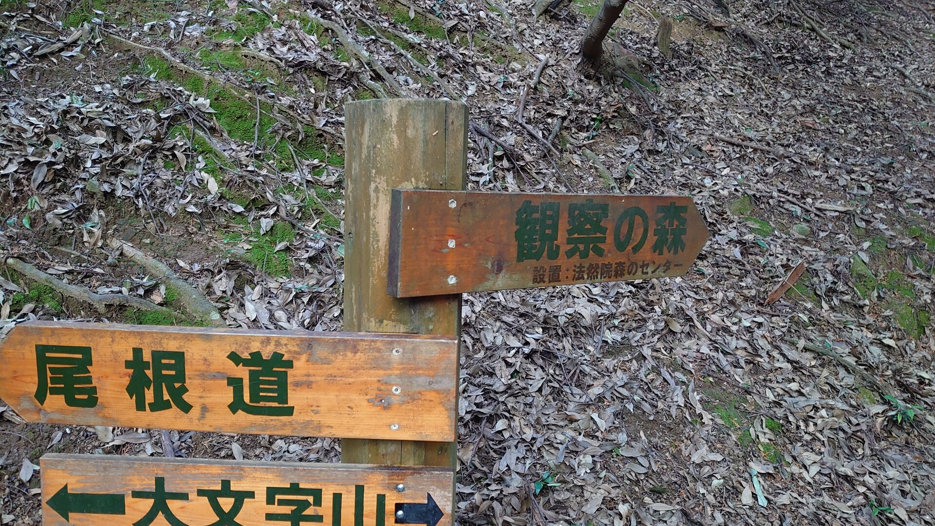 SAMちゃんさんの投稿したフィールドメモ | YAMAP / ヤマップ