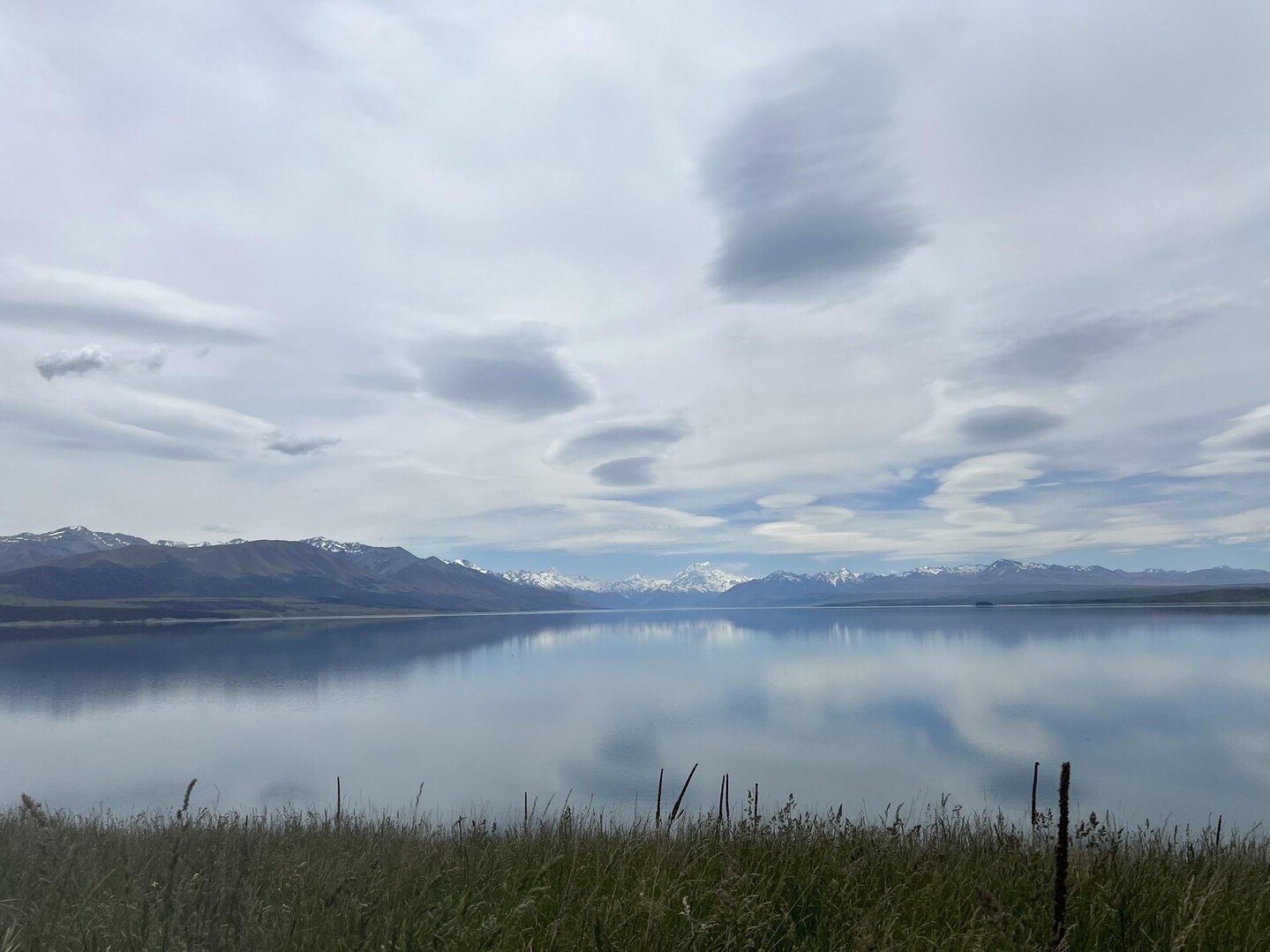 プカキ湖🇳🇿ウォーキング-2023-11-22 / yokoさんのウォーキングの活動データ | YAMAP / ヤマップ