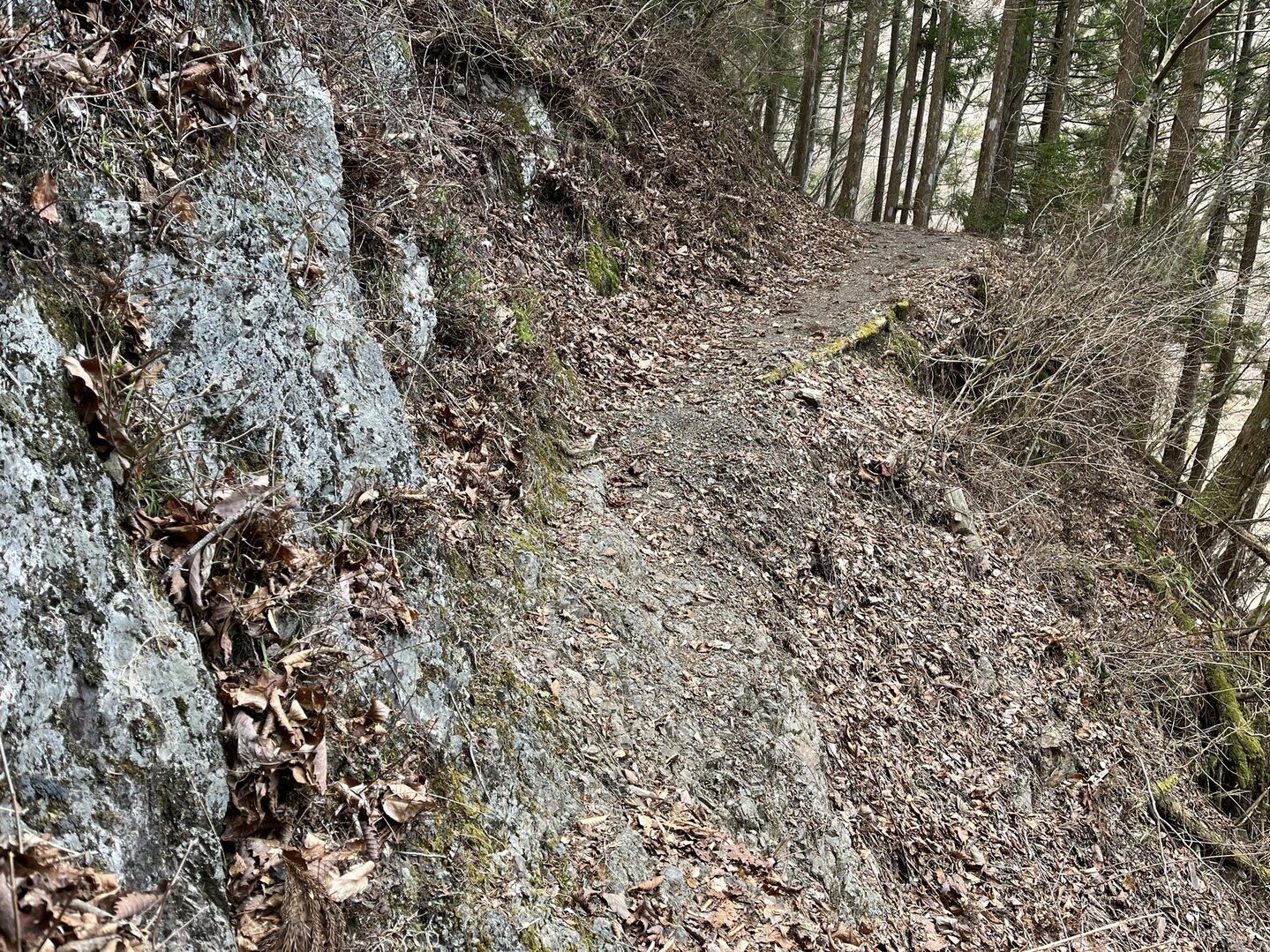 greenmoonきくちゃんさんの投稿したフィールドメモ | YAMAP / ヤマップ