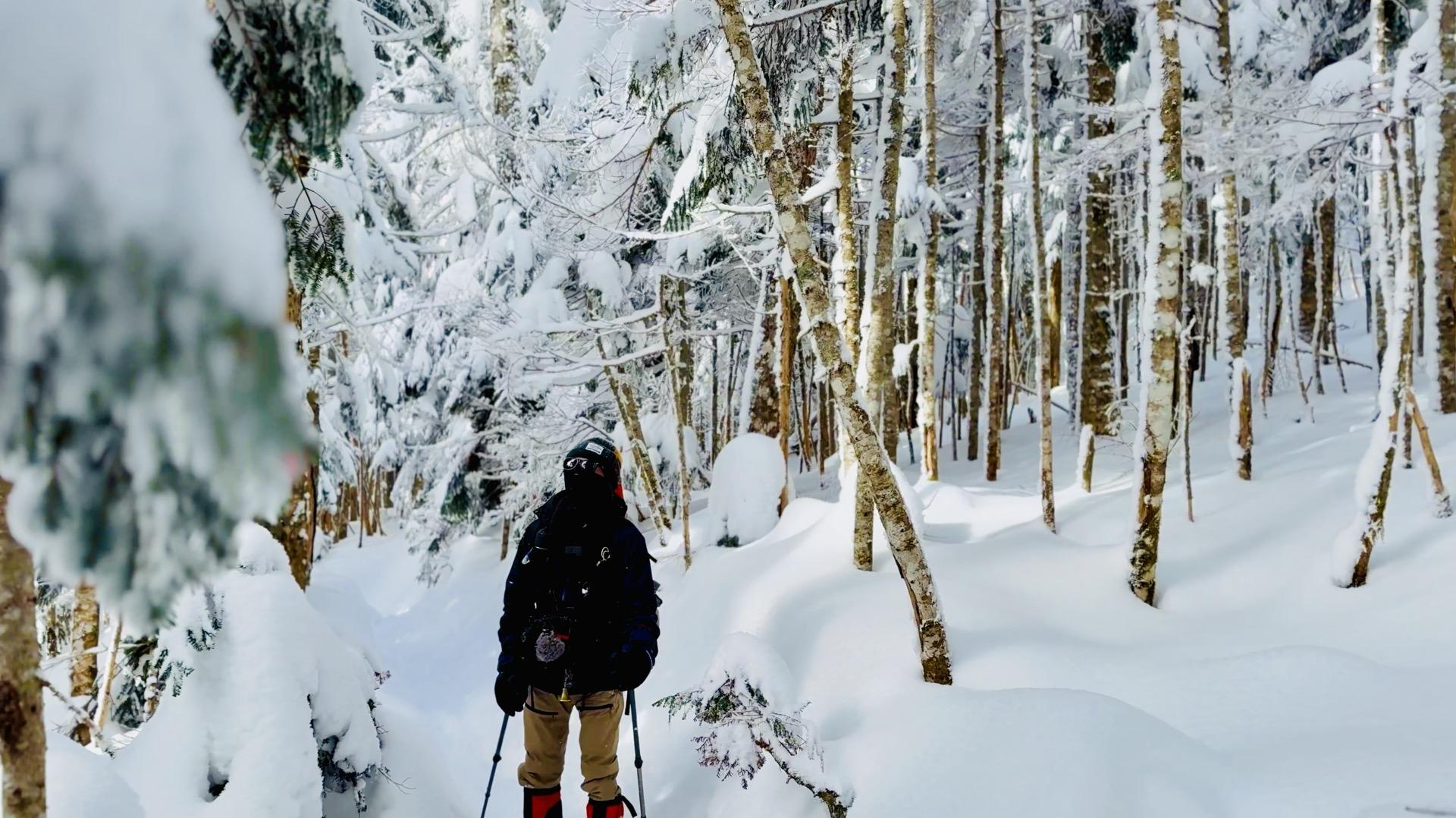 八ヶ岳（赤岳・硫黄岳・天狗岳）-2025-02-04 / KAGARIBI さんの八ヶ岳（赤岳・硫黄岳・天狗岳）の活動データ | YAMAP ...