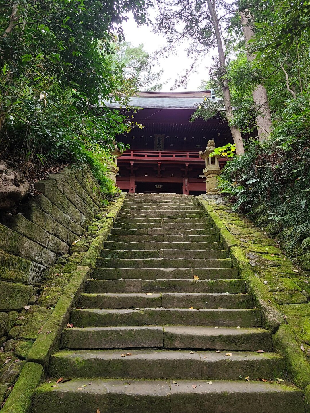 神武寺山・鷹取山近辺の三角点と水準点🎵 / かんむりさんの鷹取山の活動データ | YAMAP / ヤマップ
