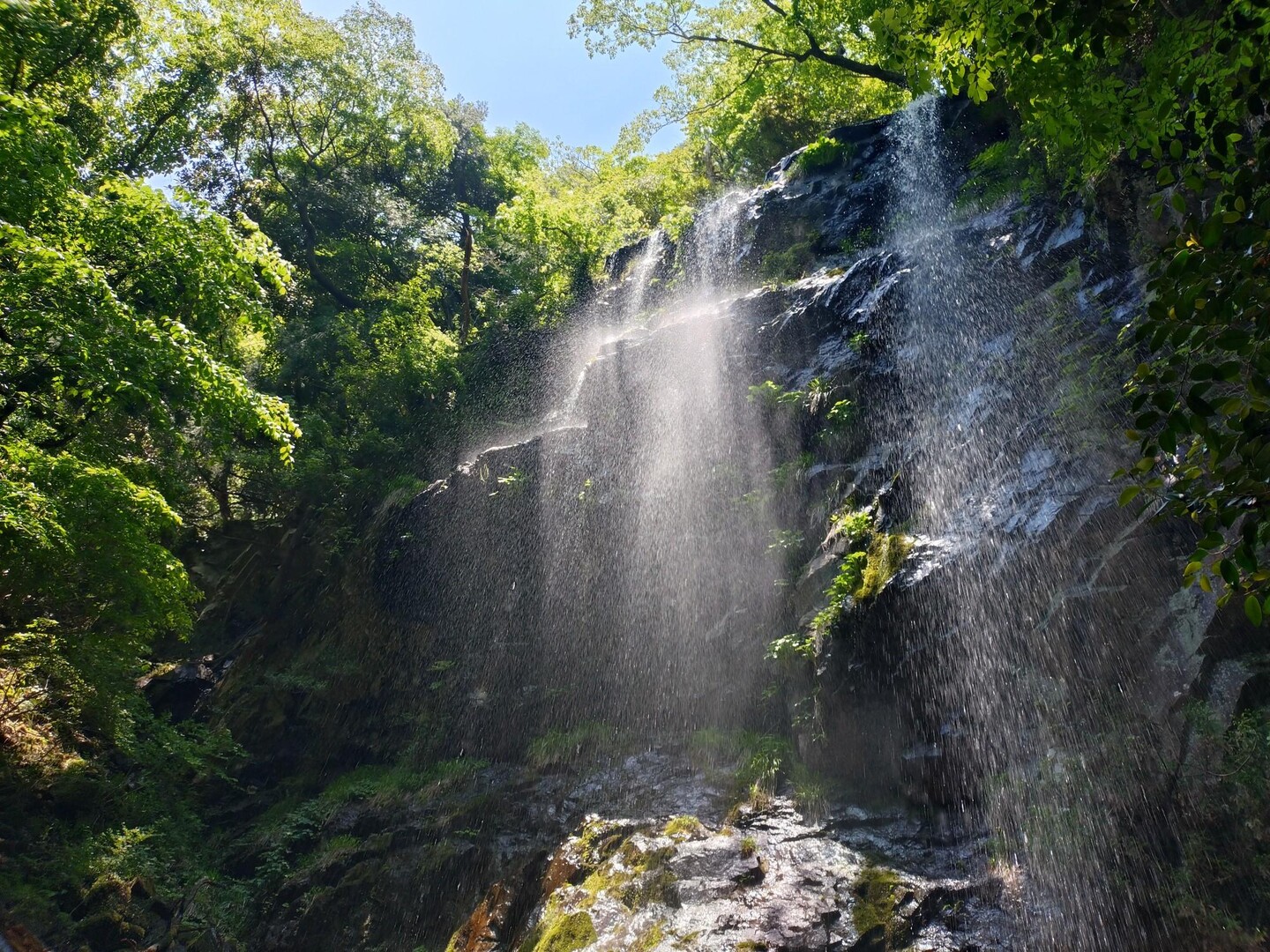 龍頭山 / VDGGさんの龍頭山の活動データ | YAMAP / ヤマップ