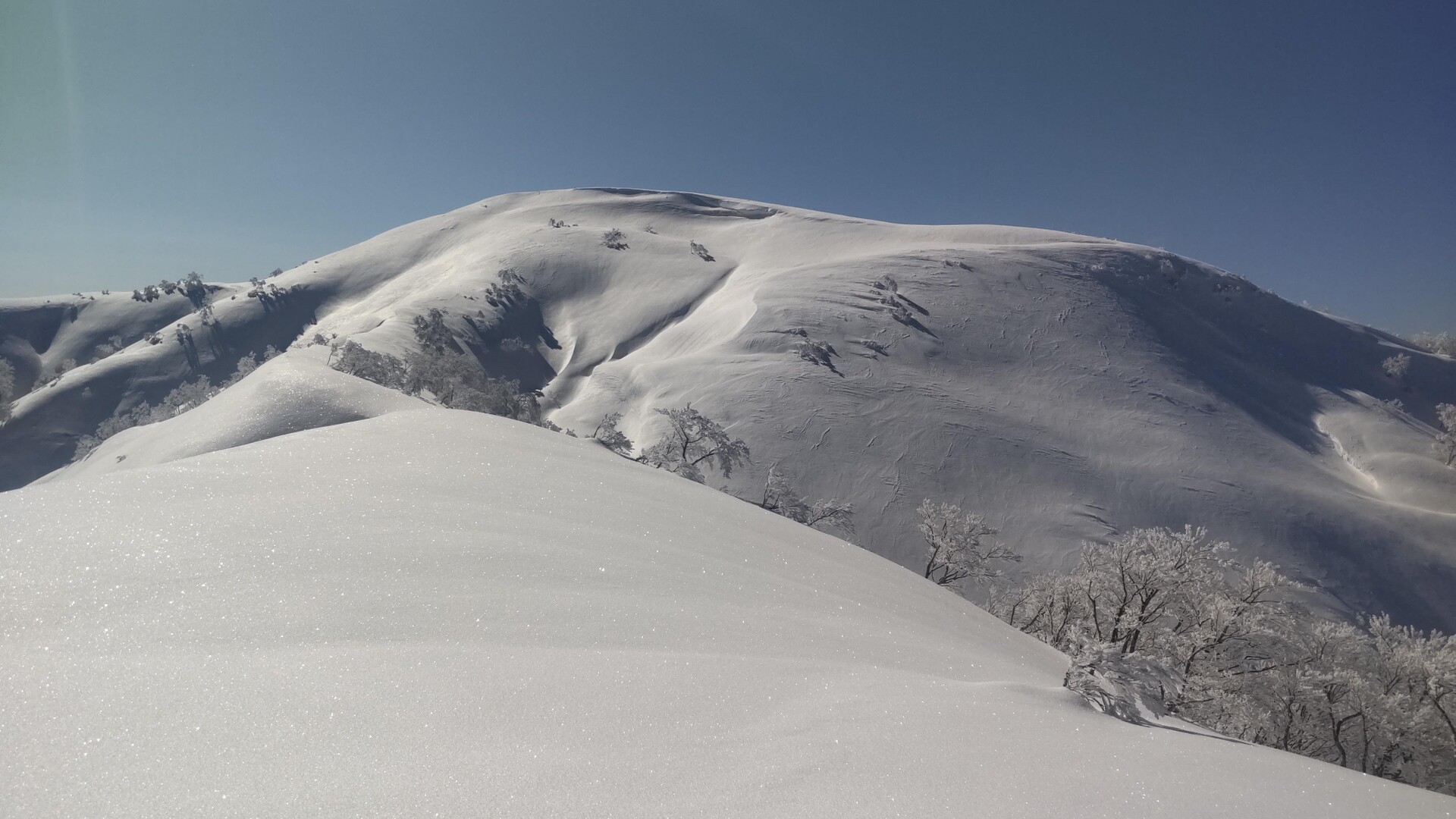 りゅうこ峰から金剛堂山（竜口尾根からの周回） / kubotchさんの金剛堂山の活動データ | YAMAP / ヤマップ