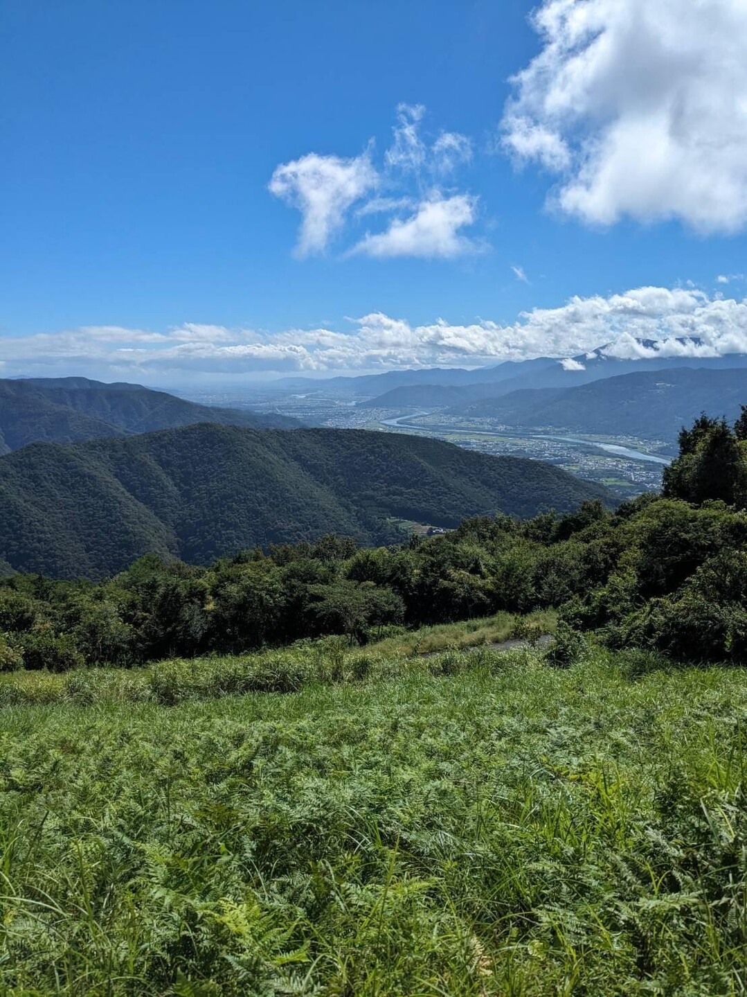 三頭山 / h3さんの竜王山（讃岐山脈）・大川山の活動データ | YAMAP / ヤマップ