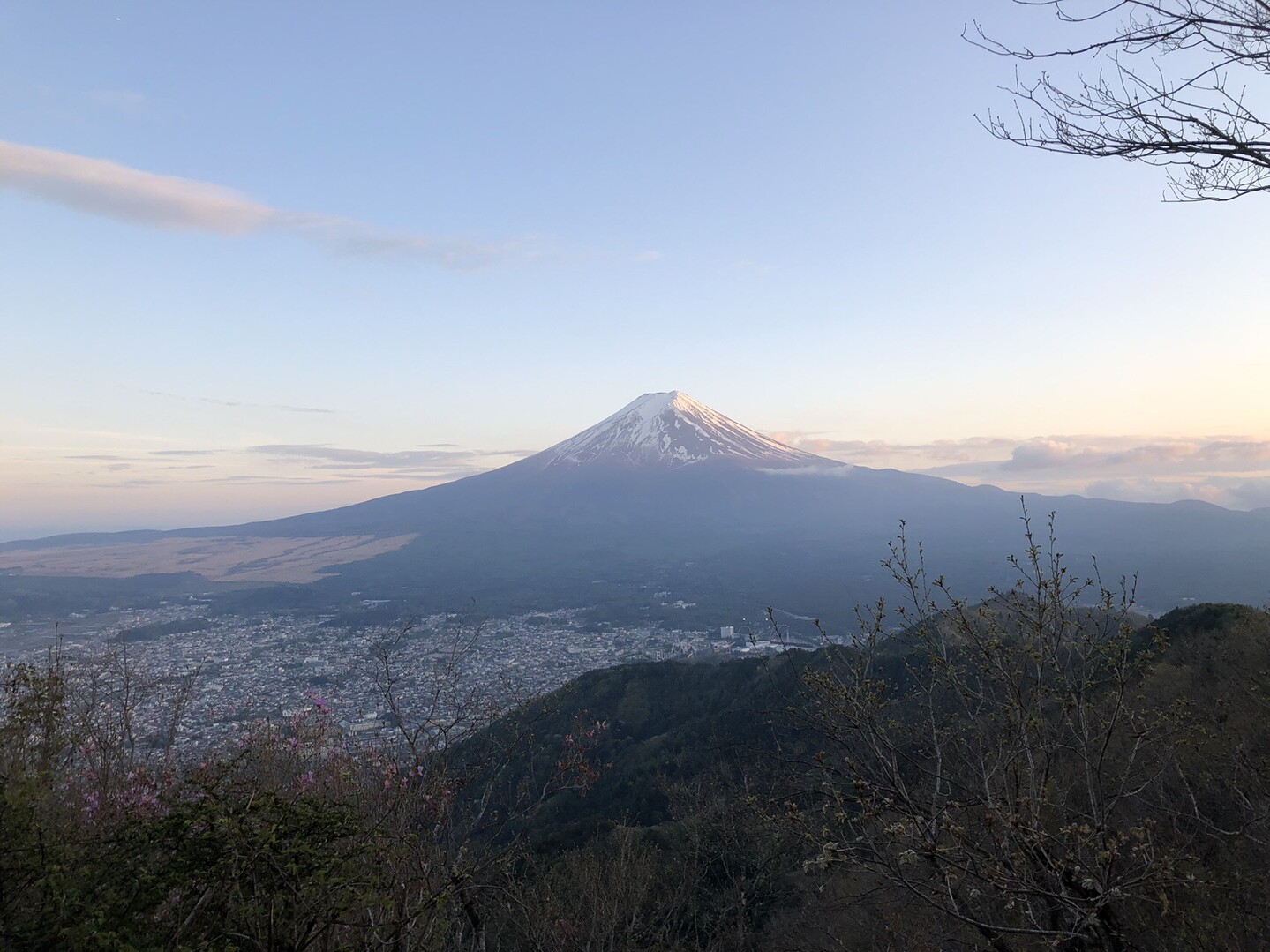 三ッ峠山・本社ヶ丸・鶴ヶ鳥屋山-2019-05-05 / Georgeさんの三ッ峠山・本社ヶ丸・鶴ヶ鳥屋山の活動データ | YAMAP / ヤマップ