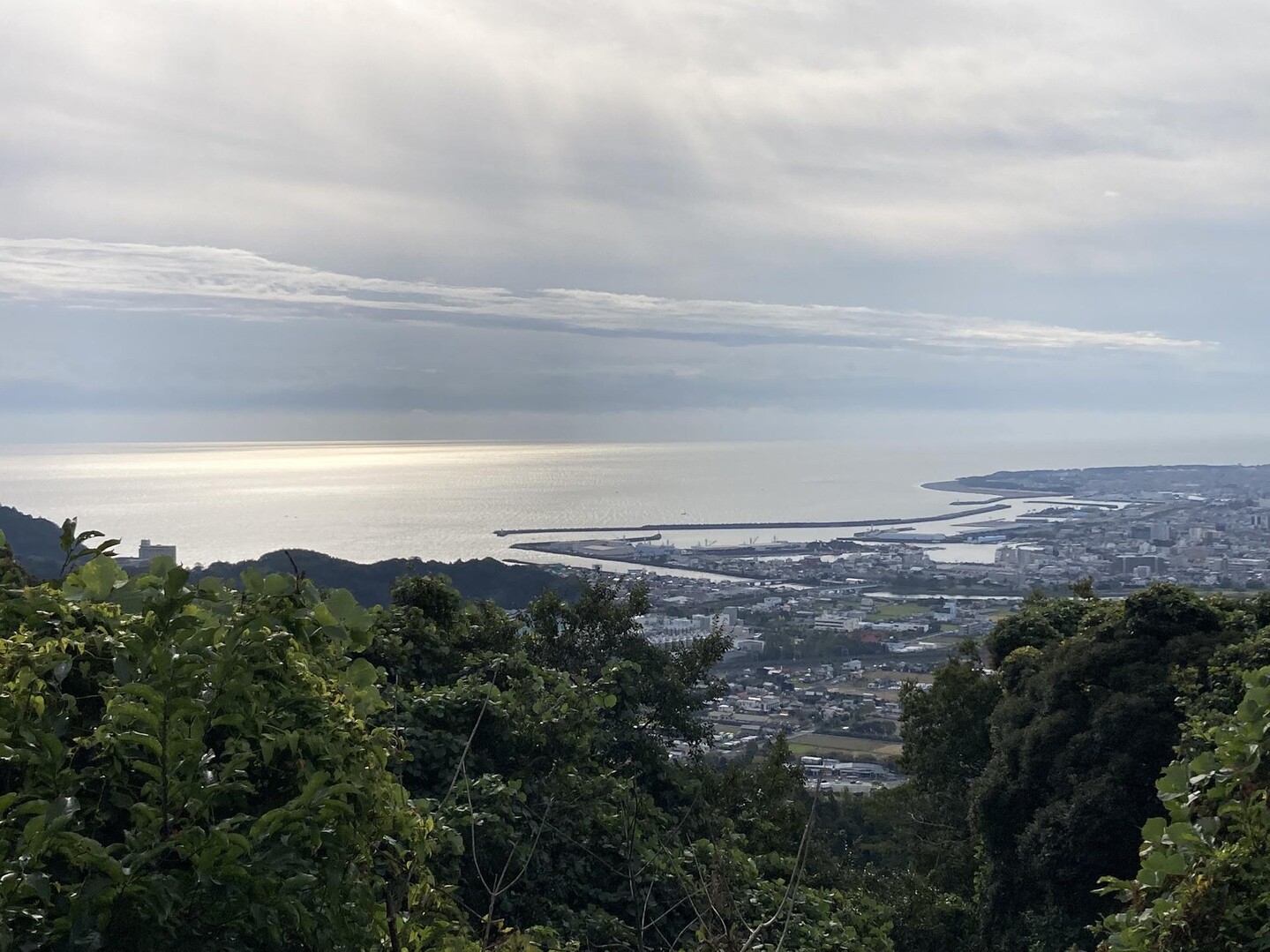 高草山(東峰) / Naokoさんの焼津アルプス（高草山・満観峰・花沢山）・徳願寺山の活動データ | YAMAP / ヤマップ