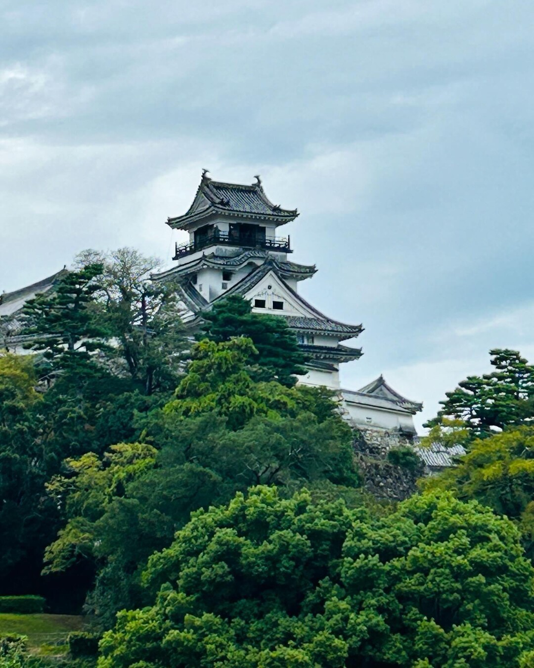 高知旅行Day 1 高知は街中に沢山の緑... / mocchiさんのモーメント | YAMAP / ヤマップ