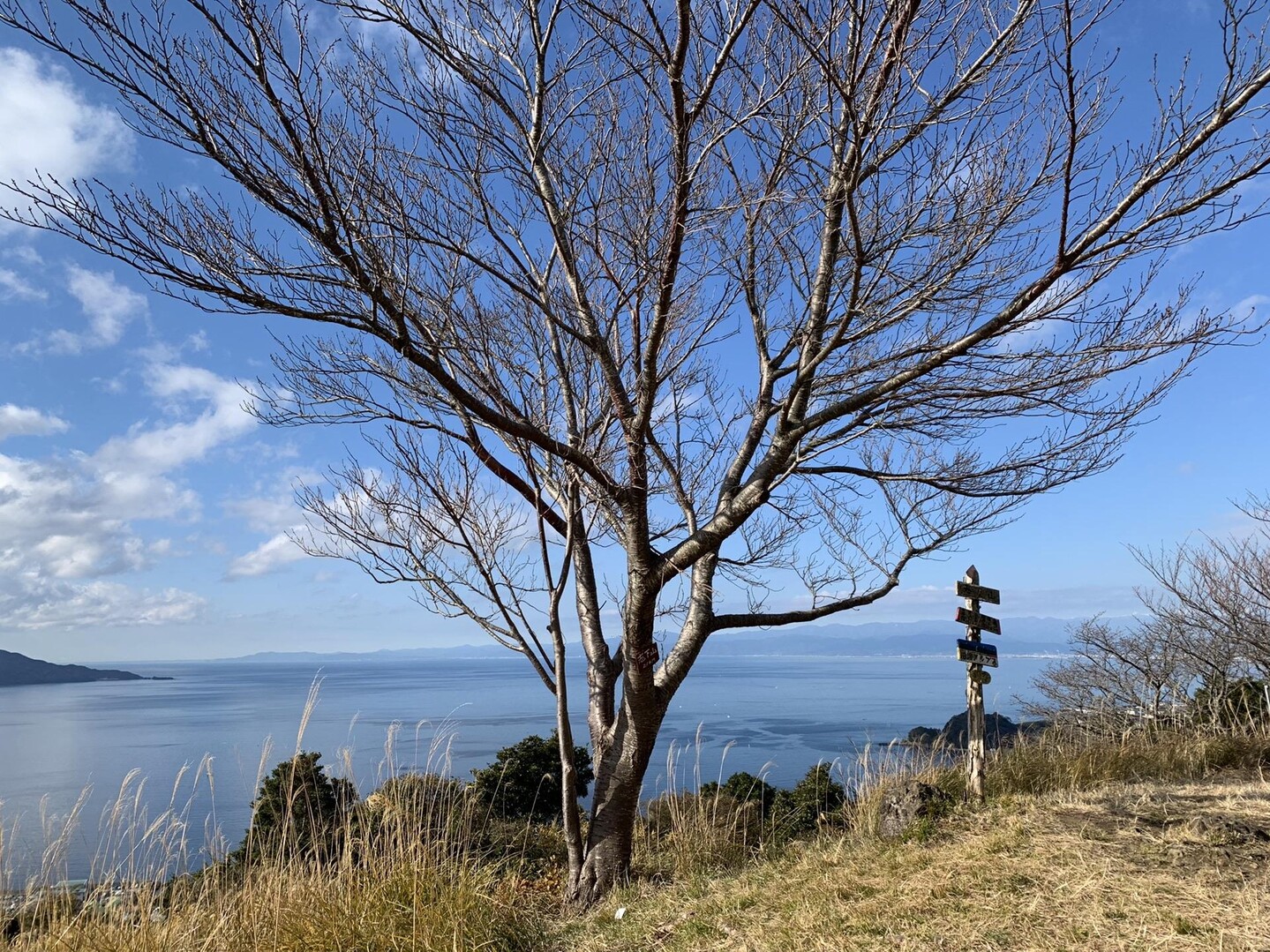 2022登り納めはアルプス縦走…沼津アルプス（香貫山〜茶臼山、全10座） / M_Akkyさんの沼津アルプス・鷲頭山・香貫山の活動データ | YAMAP / ヤマップ