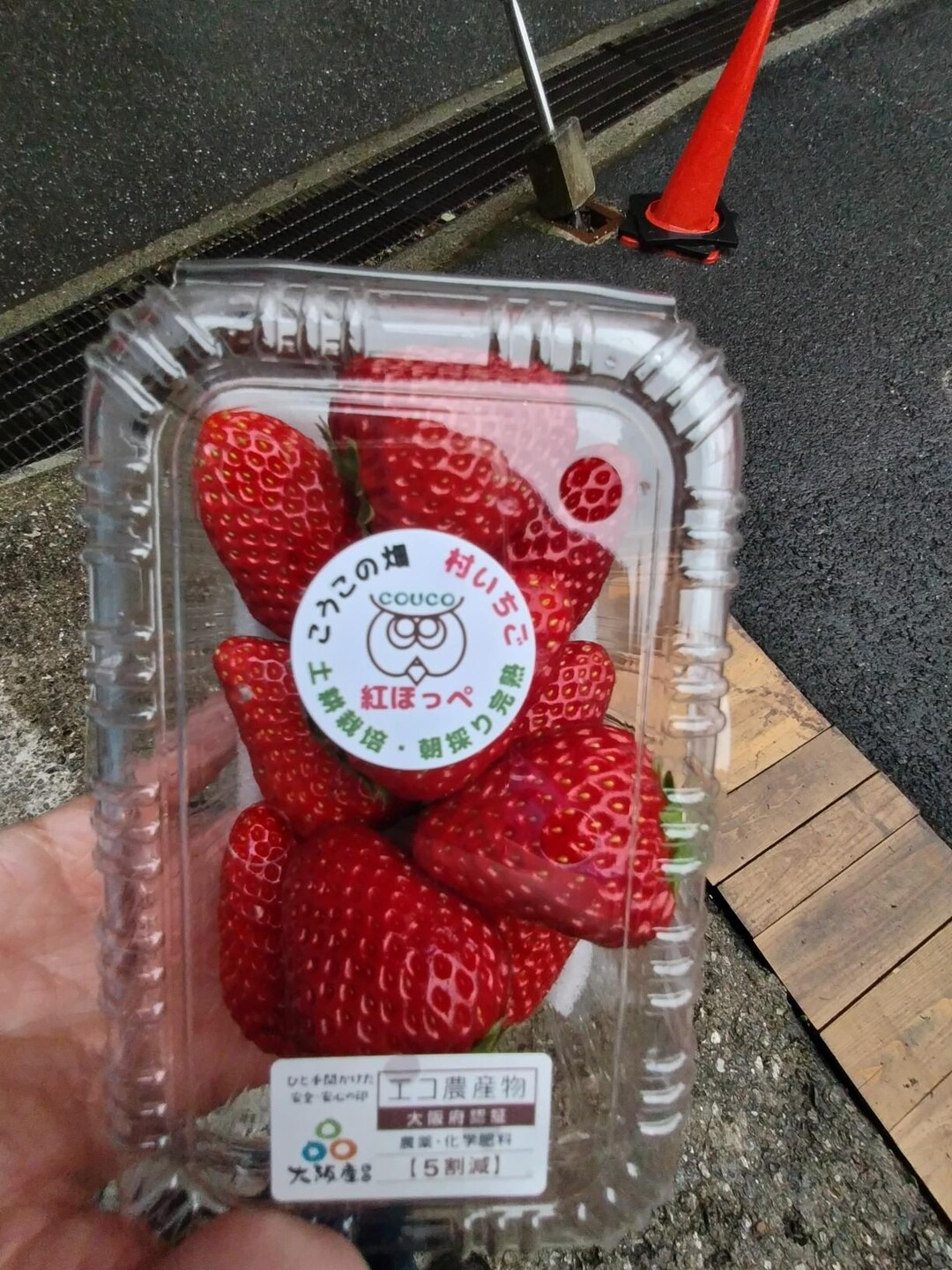 金剛山 タカハタ⤴本道⤵ / PAGUさんの葛城修験エリアマップ（金剛山周辺）の活動データ | YAMAP / ヤマップ