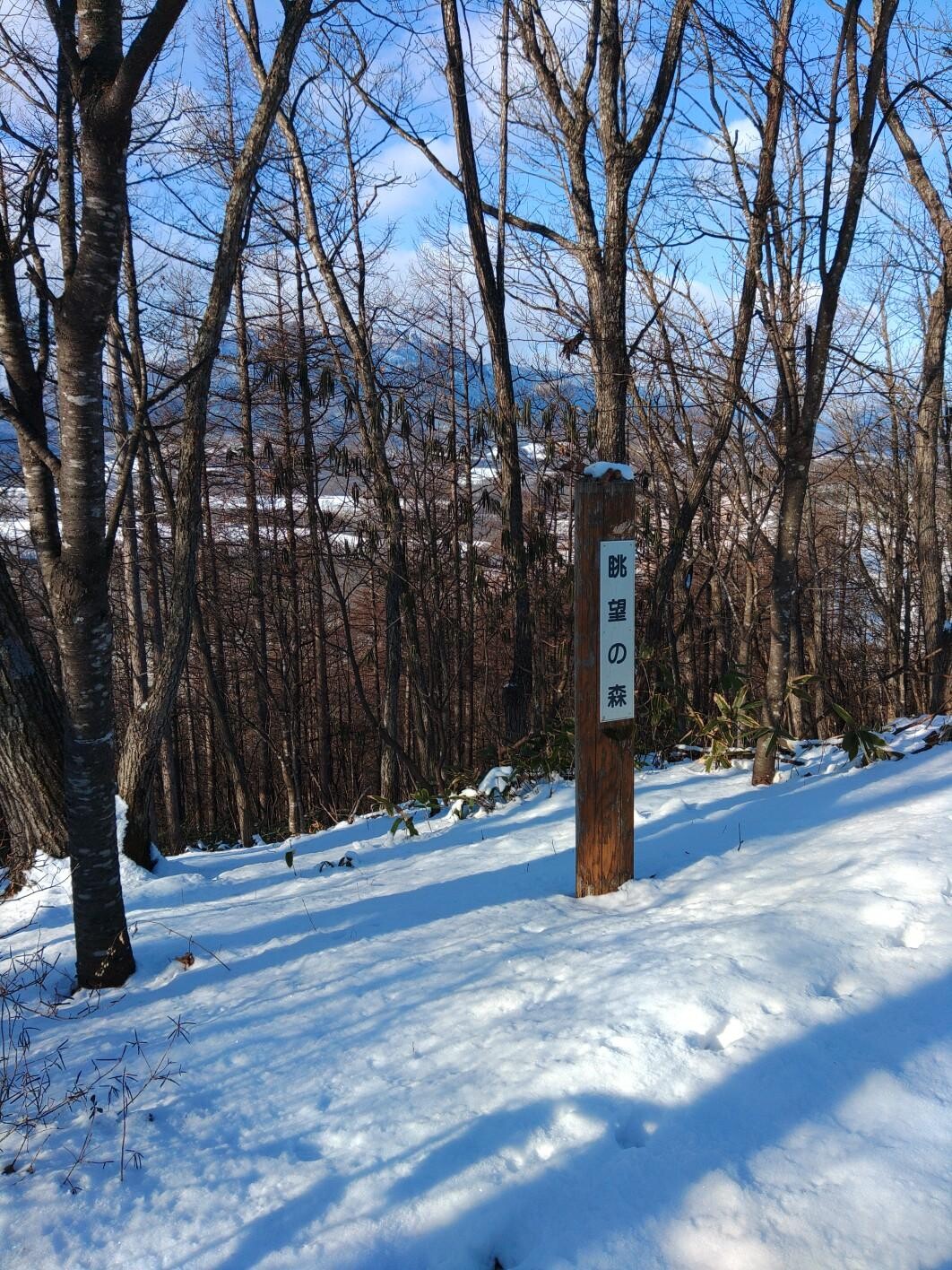新嵐山 / kanaさんの芽室岳・久山岳・剣山の活動データ | YAMAP / ヤマップ
