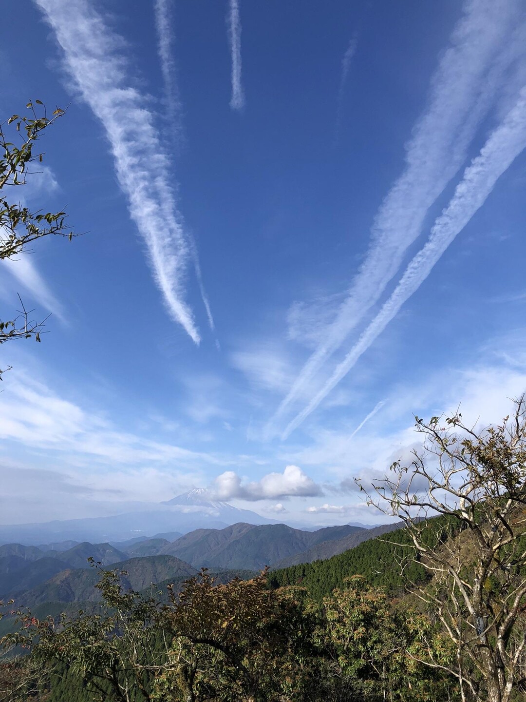 二ノ塔・三ノ塔 / YASさんの丹沢山の活動データ | YAMAP / ヤマップ