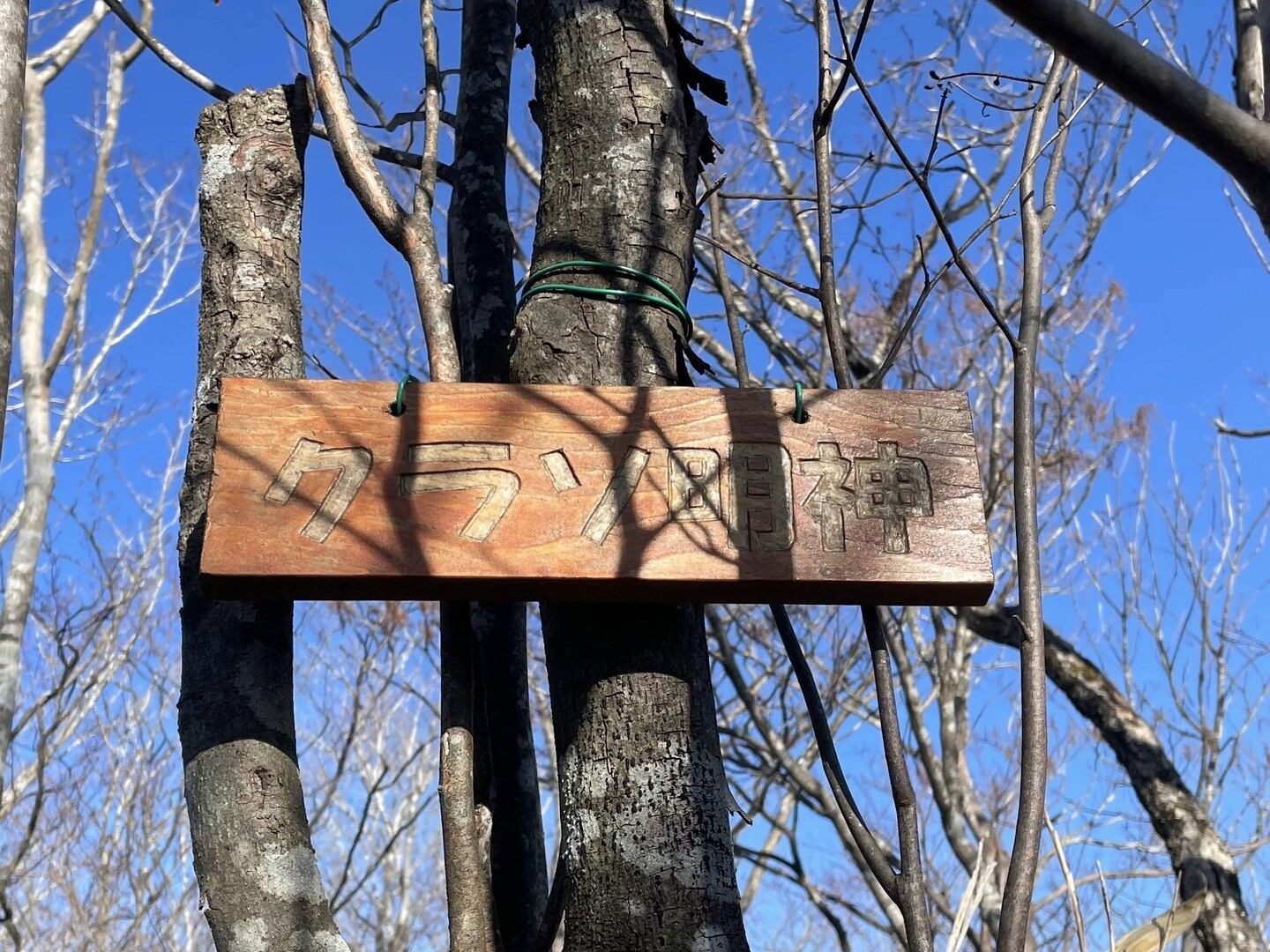 クラソ明神 / M K1218さんの舟伏山の活動データ | YAMAP / ヤマップ