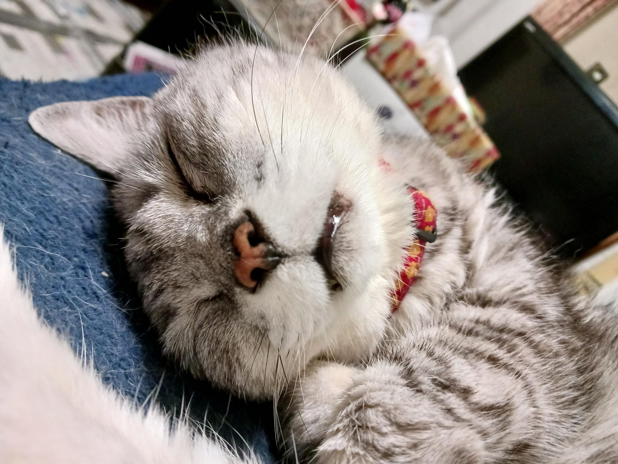 夜になりました🌃 よい夢をみれますよう... / hiroさんのモーメント | YAMAP / ヤマップ