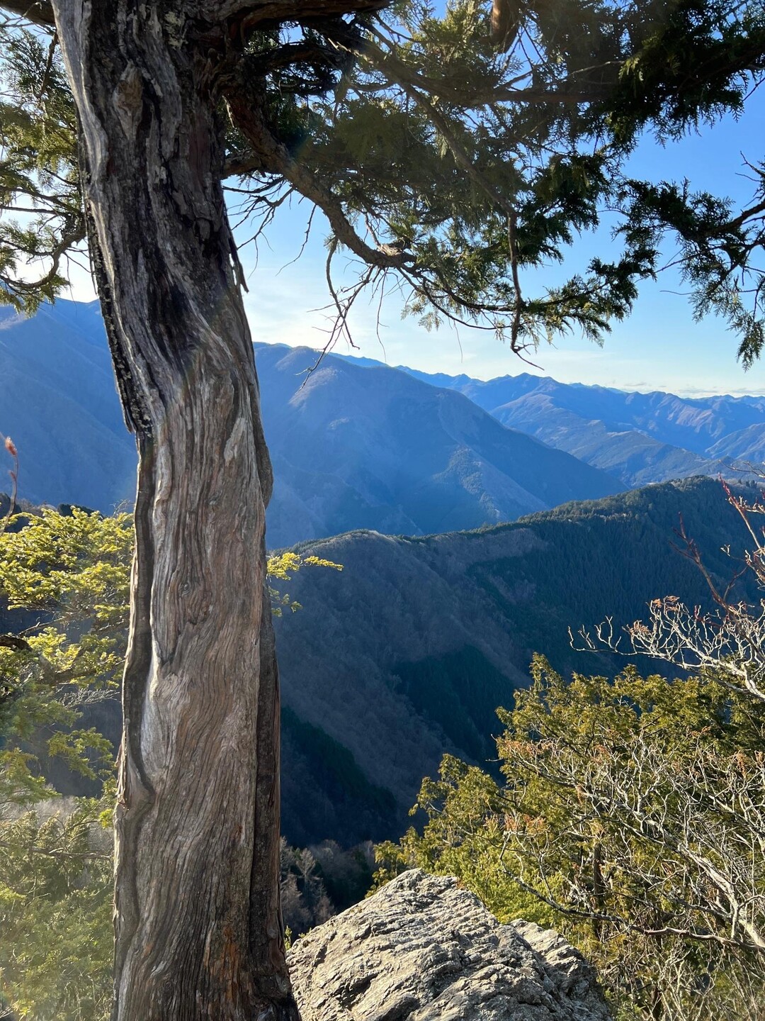 R5、10月、11月、12月の活動 / 桔梗巡礼パパさんの雲取山・鷹ノ巣山・七ツ石山の活動データ | YAMAP / ヤマップ