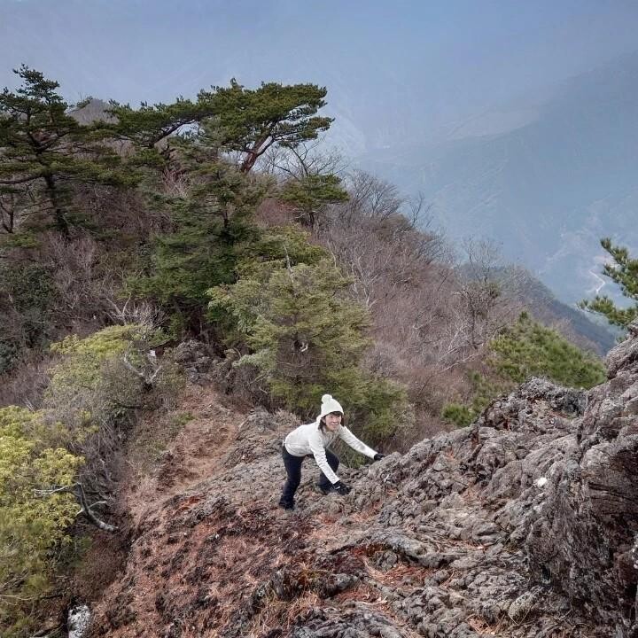 前障子だけで撃沈💦 / Shino_530さんの祖母山の活動データ | YAMAP / ヤマップ