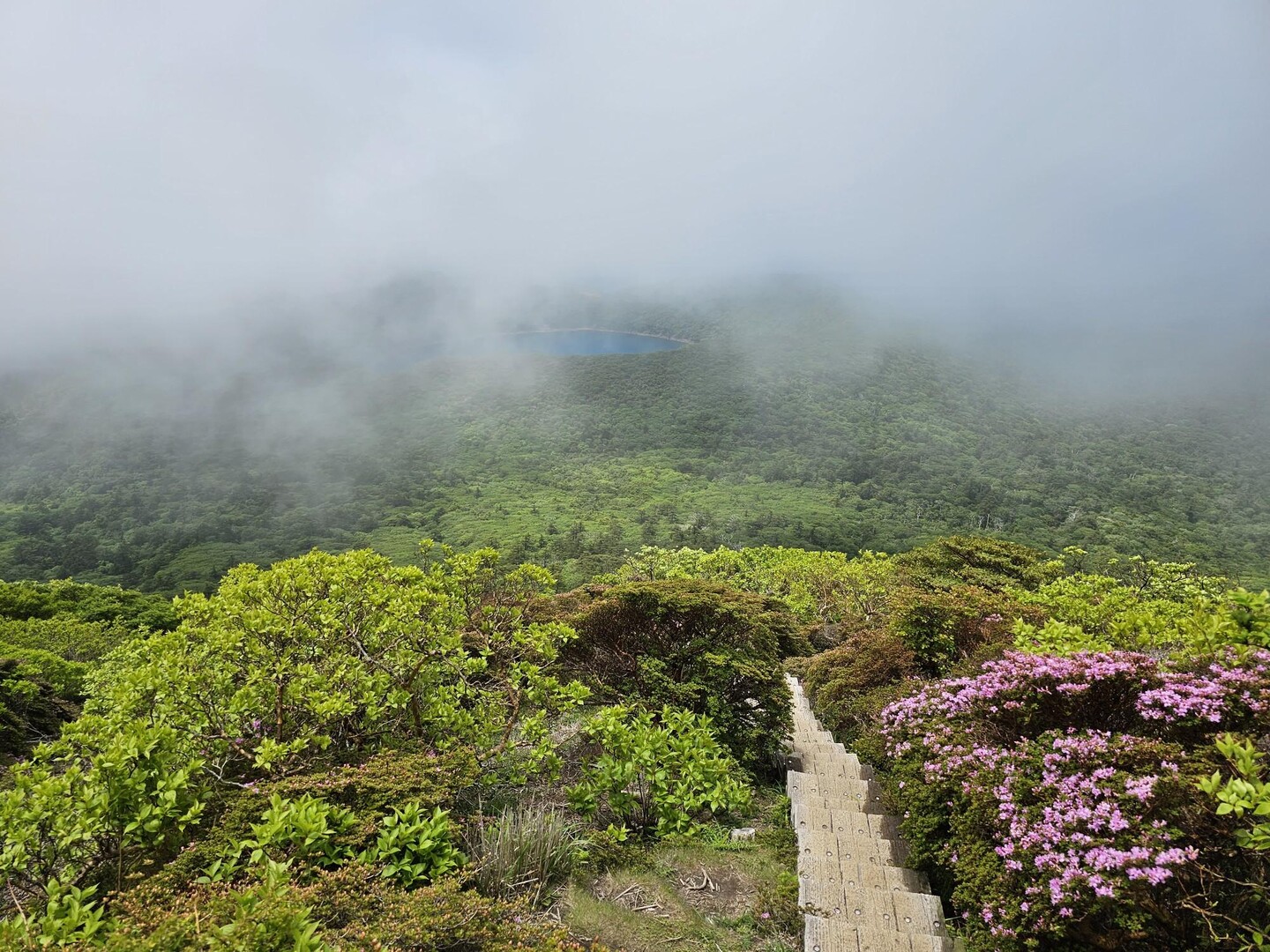 韓国岳（霧島山） / K3さんの霧島山・韓国岳・高千穂峰・夷守岳・烏帽子岳の活動データ | YAMAP / ヤマップ