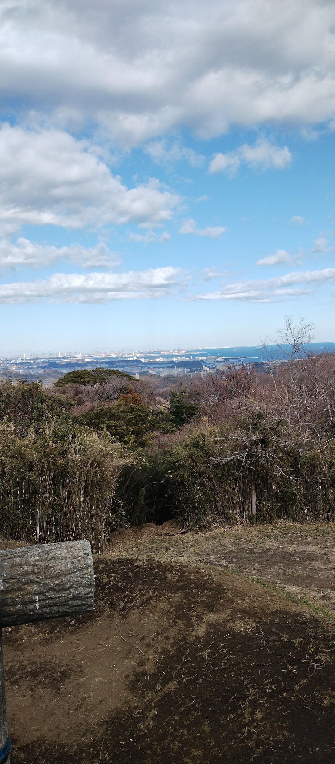 二子山（上の山）・二子山（下の山）・阿部倉山 / tarouさんの三浦アルプス・二子山・仙元山の活動データ | YAMAP / ヤマップ