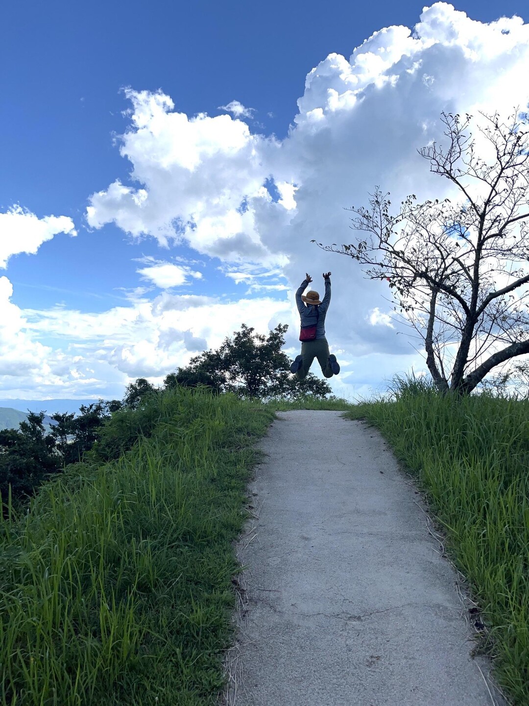 大原山 / hiyoさんの四王寺山・大城山・大原山の活動データ | YAMAP / ヤマップ