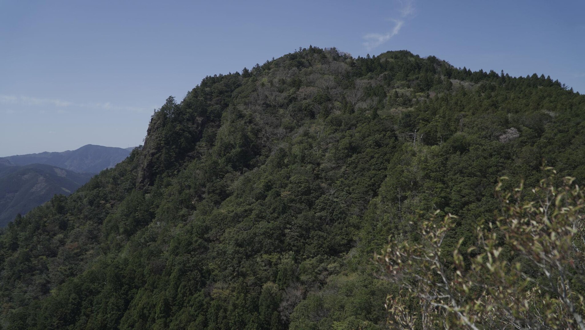 横倉山 / FRVさんの横倉山の活動日記 | YAMAP / ヤマップ