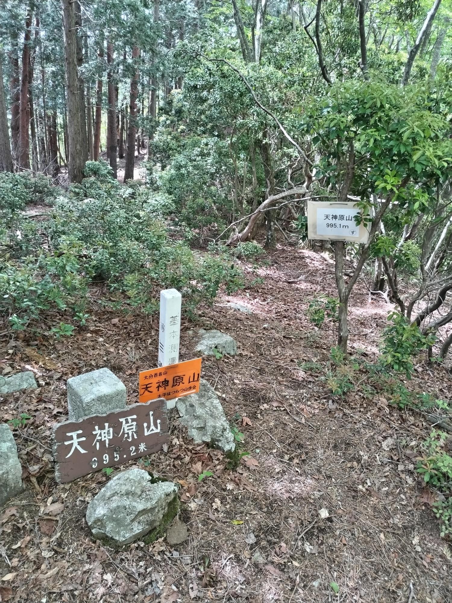 新大分百山NO94⛰️天神原山⛰️ / ひろひろさんの大崩山・五葉岳・新百姓山の活動データ | YAMAP / ヤマップ
