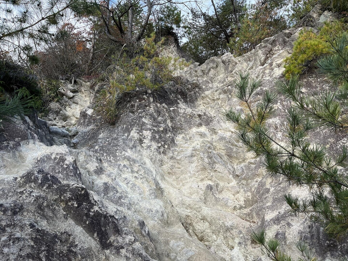 六甲山 快晴🍁 岩場修行と神戸パノラマ絶景 関西2日目 / Shinoさんの六甲山・長峰山・摩耶山の活動日記 | YAMAP / ヤマップ