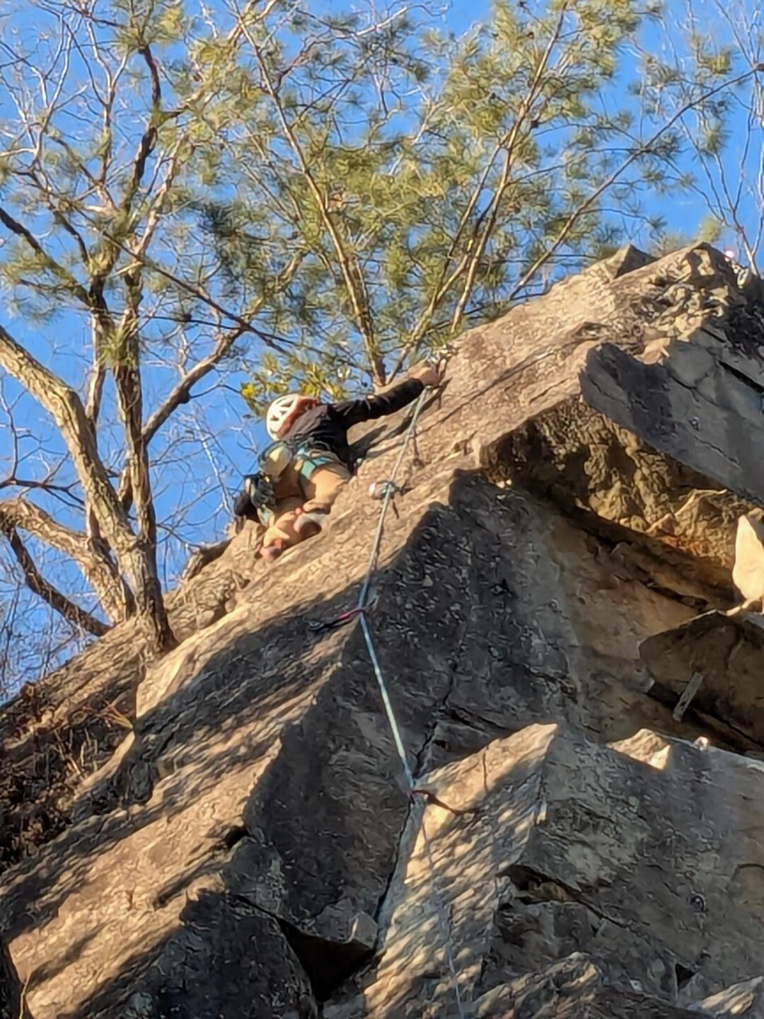 新春登り初め、新岩 / SAOさんの中山・大峰山の活動データ | YAMAP / ヤマップ