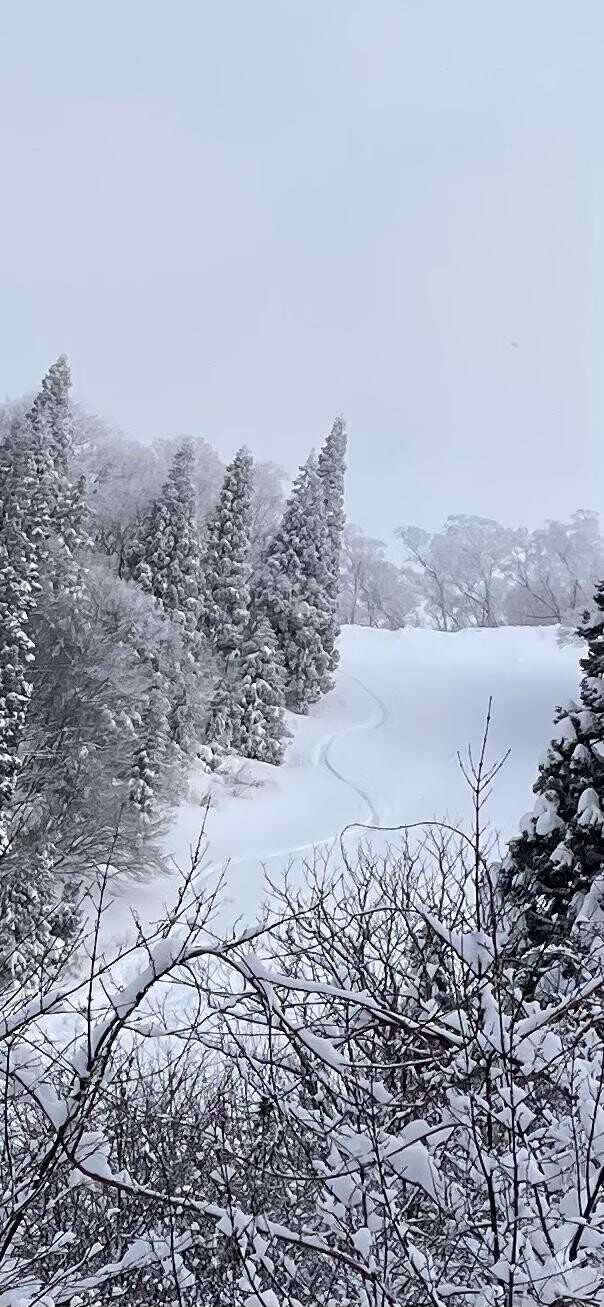 20241218 スノーボード ホワイトピア / ke_8o11211eさんの鷲ヶ岳の活動データ | YAMAP / ヤマップ