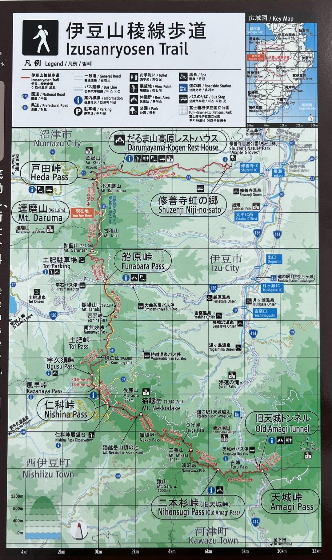 伊豆山稜線歩道 天城峠～猫越岳〜風早峠〜船原峠〜達磨山〜戸田峠〜金冠山 / Pelliotさんの棚場山・魂の山・猫越岳の活動データ | YAMAP / ヤマップ