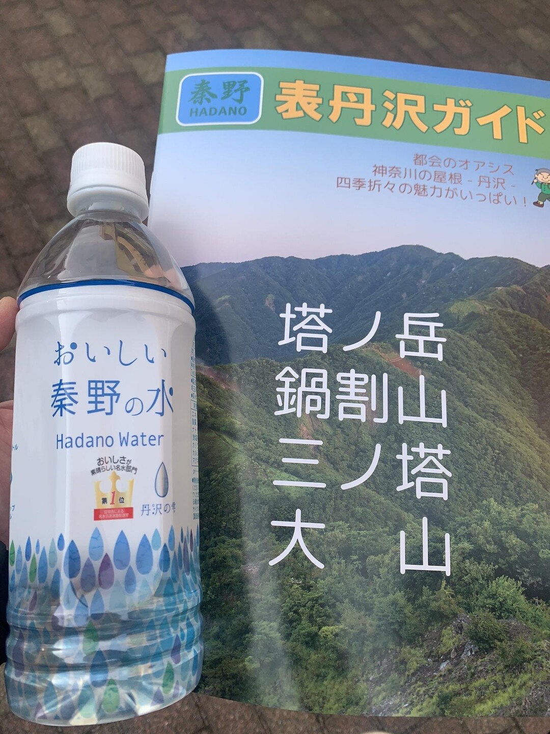 海老名駅前にて FAMILY FUNフェ... / masurinさんのモーメント | YAMAP / ヤマップ