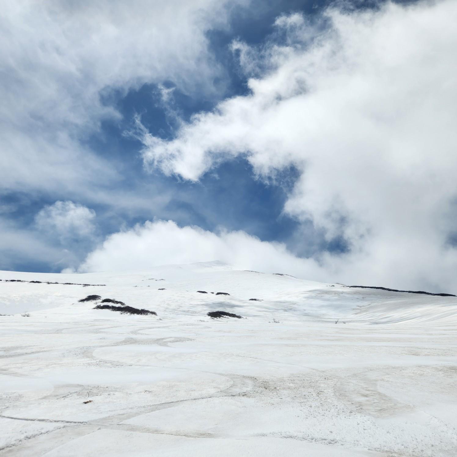 Day 24 / vivanoriさんのモーメント | YAMAP / ヤマップ