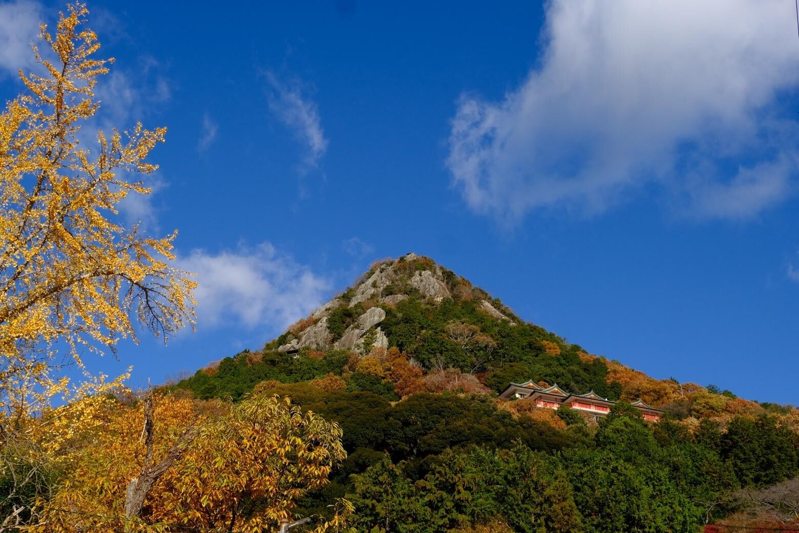 太郎坊山・箕作山・小脇山・岩戸山 / maiさんの箕作山・太郎坊山の活動データ | YAMAP / ヤマップ