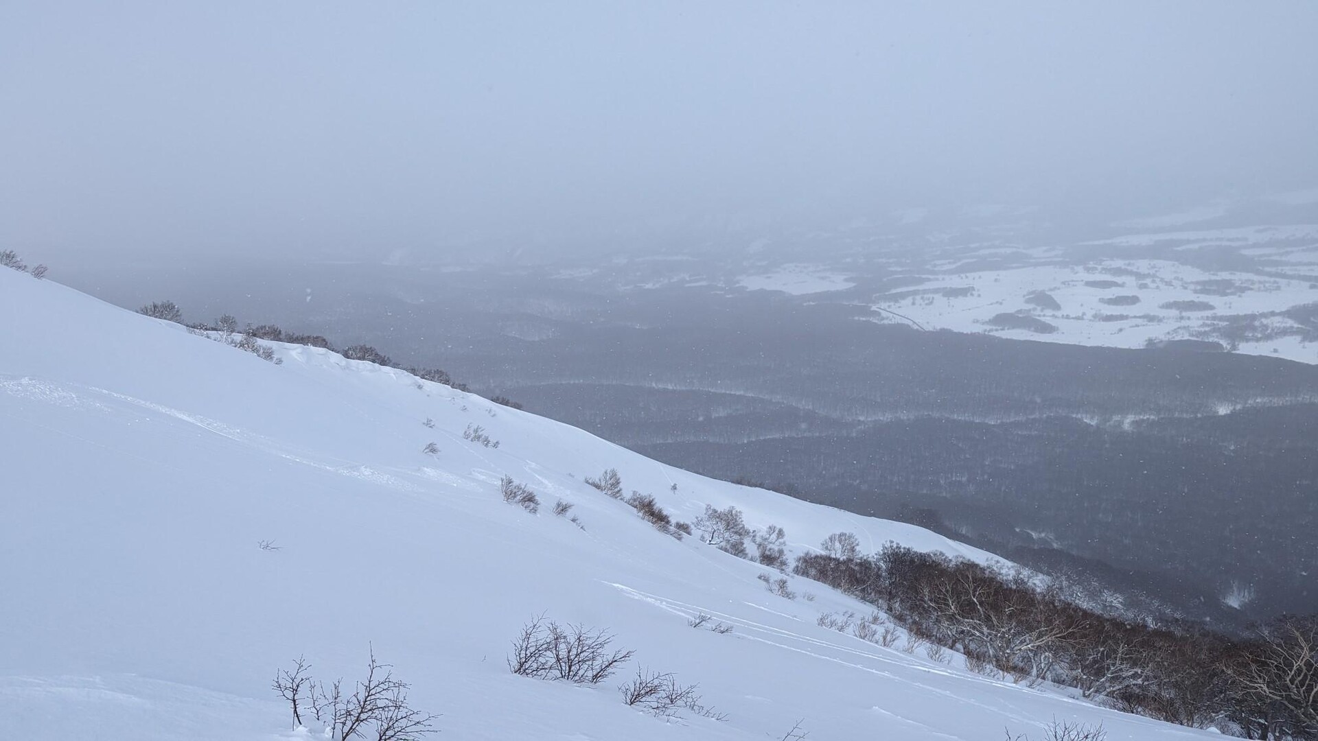 雛岳 八甲田 / RS-1 PHD さんの八甲田山・高田大岳・雛岳の活動データ | YAMAP / ヤマップ